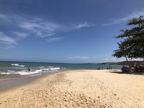 Praia de Pitinga em Arraial D’Ajuda: o que você precisa saber antes de ...