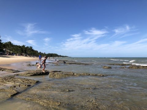 Praia de Pitinga em Arraial D’Ajuda: o que você precisa saber antes de ...