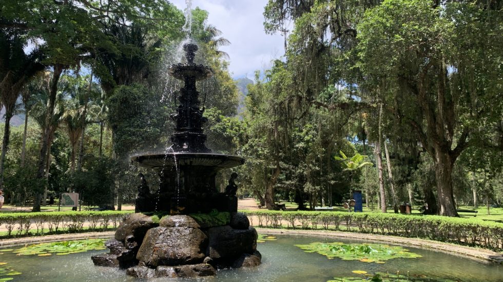 8 Dicas para curtir o Jardim Botânico do Rio de Janeiro - Passaporte ...