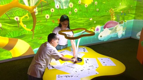 Hello Park: vale a pena conhecer esse parque interativo? - Passaporte ...